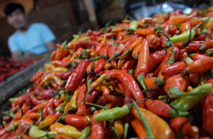 Harga Cabe Rawit Merah Turun